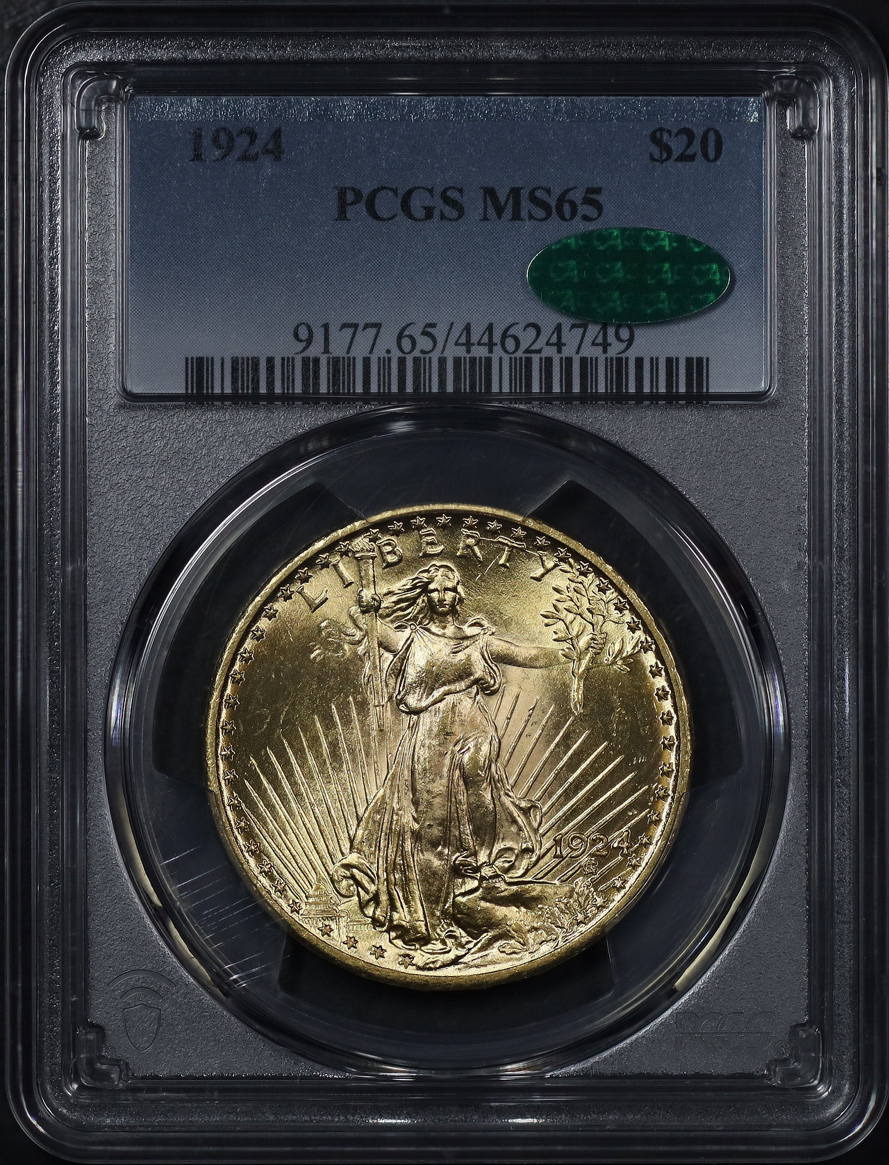 Gold Coins | Northern Nevada Coin